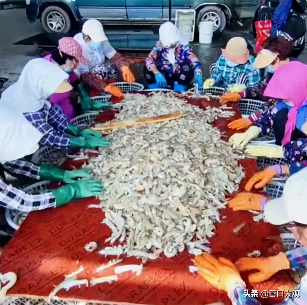 Yingkou is open to the sea, eat delicious seafood - iNEWS