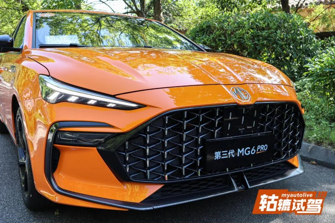 There is also a gentle side under the fierce appearance, this is the ...