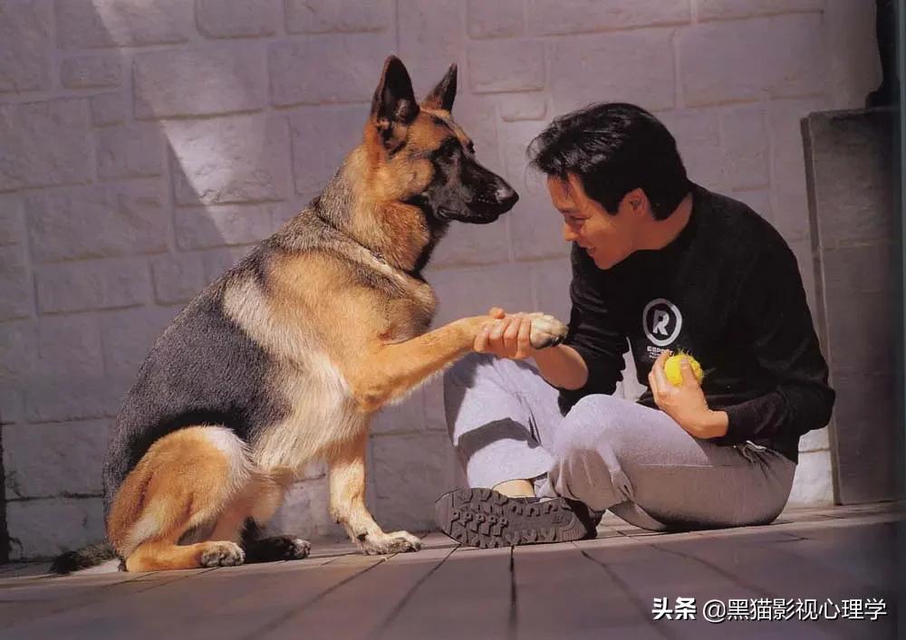 The Journey of the Footless Bird——Analysis of Leslie Cheung's life ...