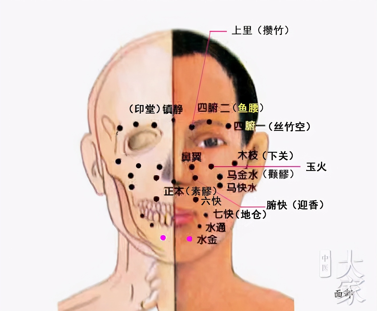 Three acupoint groups: special acupoints for relieving cough, treating ...