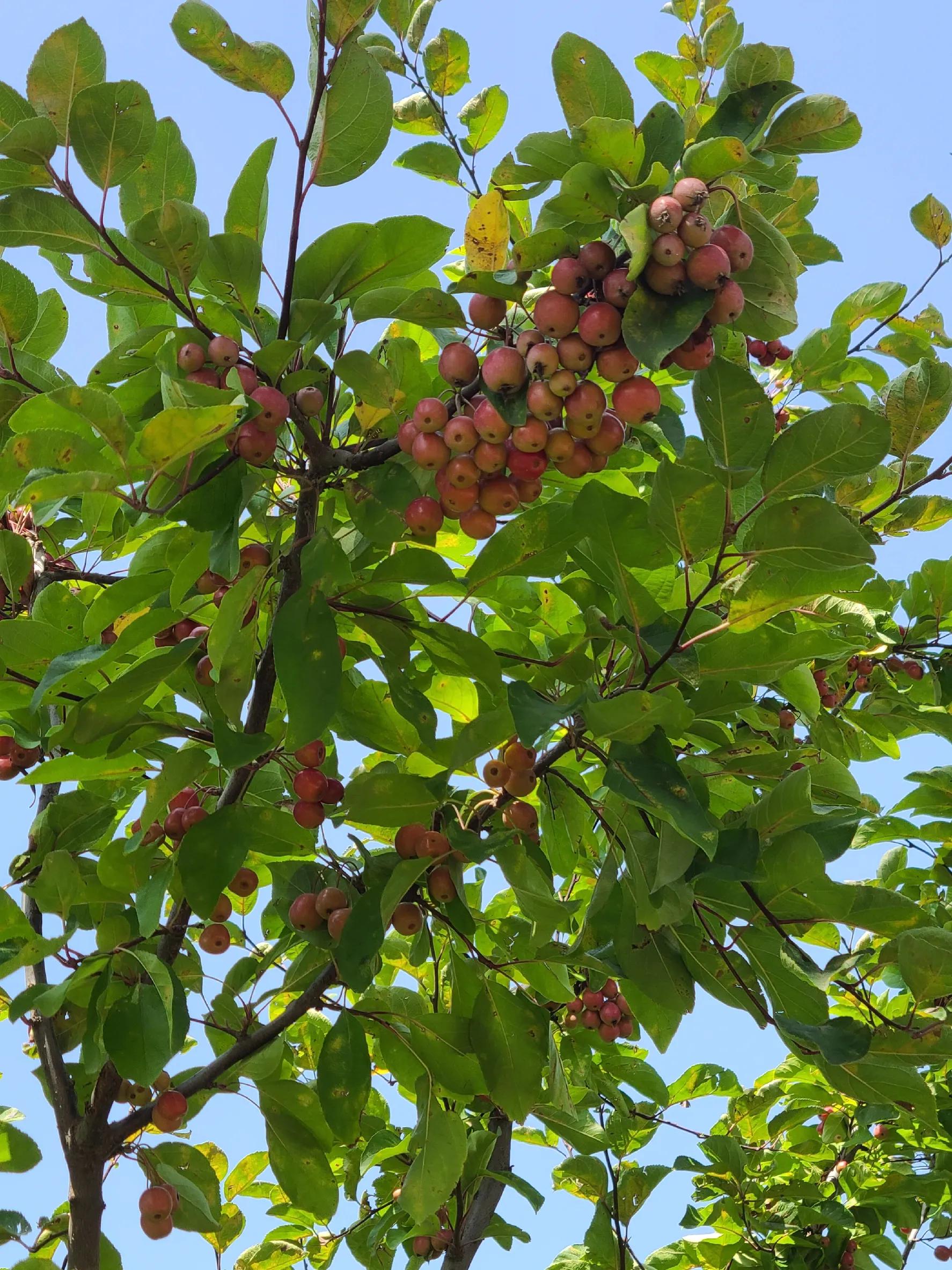 Tour Beijing Wenyu River Park - iNEWS