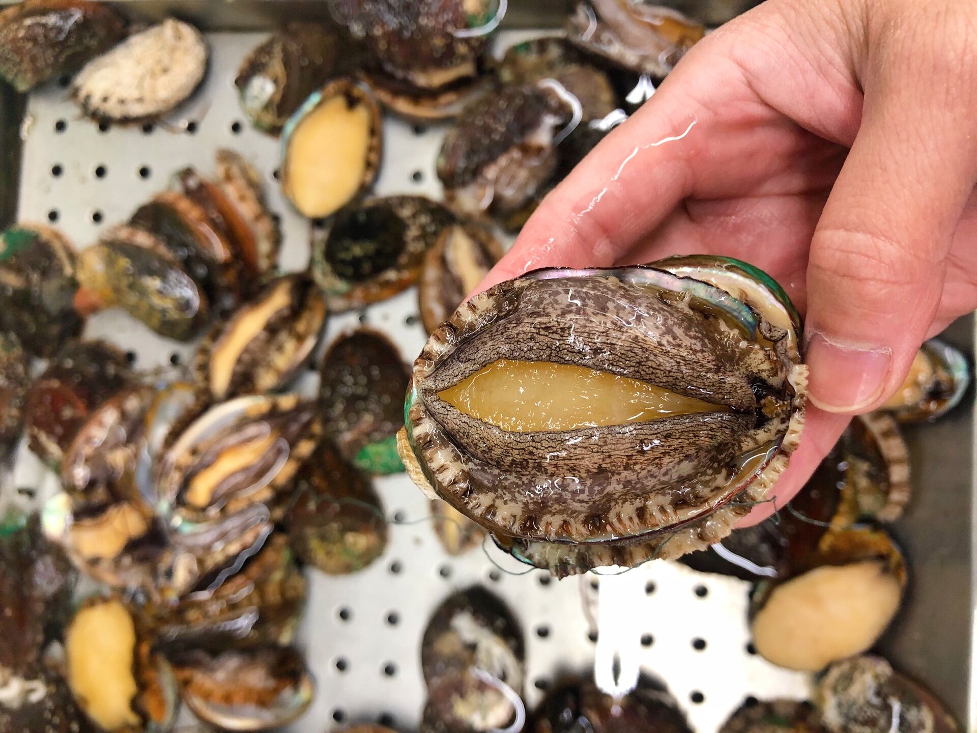 In May, if the money is not bad, don't miss these 6 kinds of seafood ...