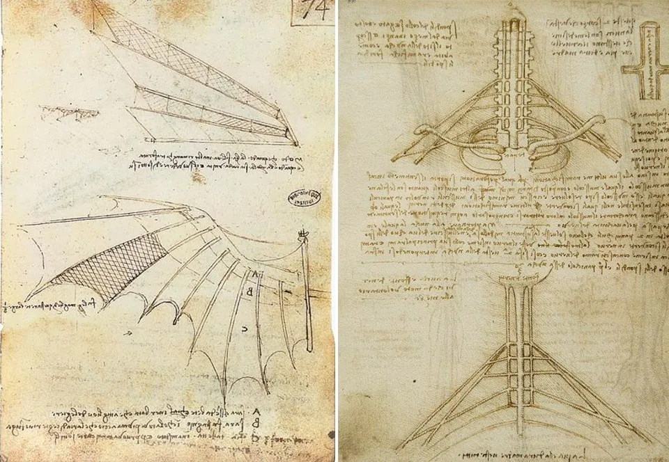 Natural bionic architecture, showing the designer's infinite insights ...