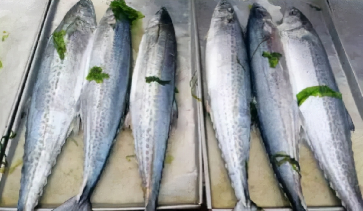 Braised Spanish mackerel, the fish is tender and not fishy - iNEWS