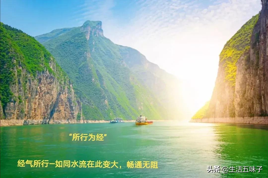 Special acupoints in the twelve zang-fu organs-Wushu acupoints - iNEWS