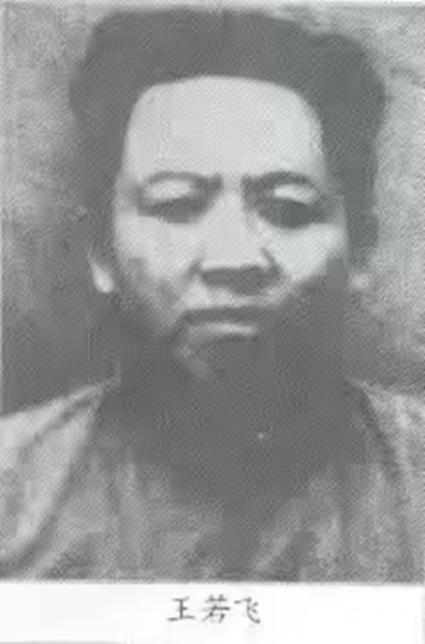 Wang Ruofei: After being arrested, he survived tenaciously and died in an air crash. Is it ...
