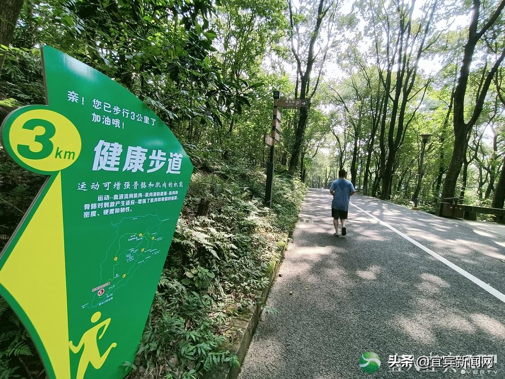 How beautiful is Cuiping Mountain in Yibin?You'll know when you come ...