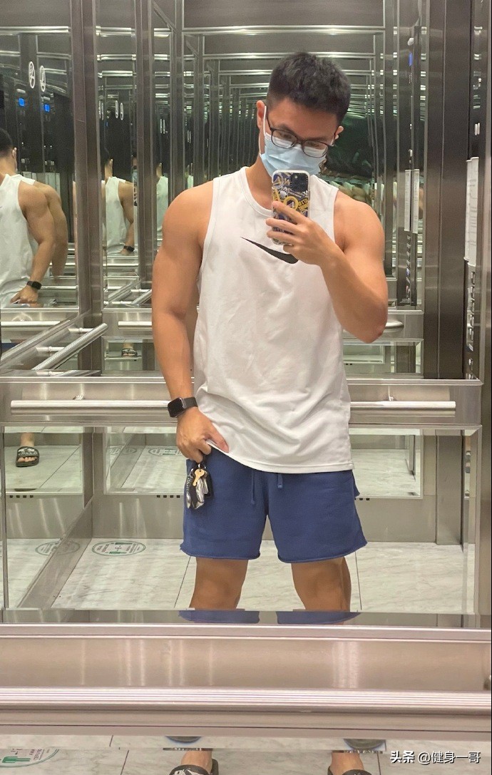 Corgi's legs are strong and powerful, and the trapezius muscles are ...