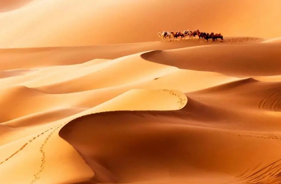 Analysis on the Causes of Lop Nur's Encounter with High Water after Low ...