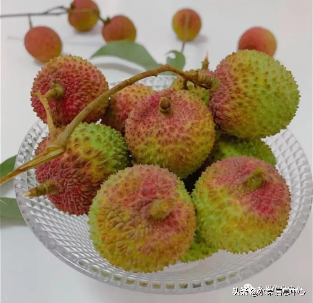 Comparison and evaluation of 10 types of lychees: Guiwei, Nuomi Cong ...