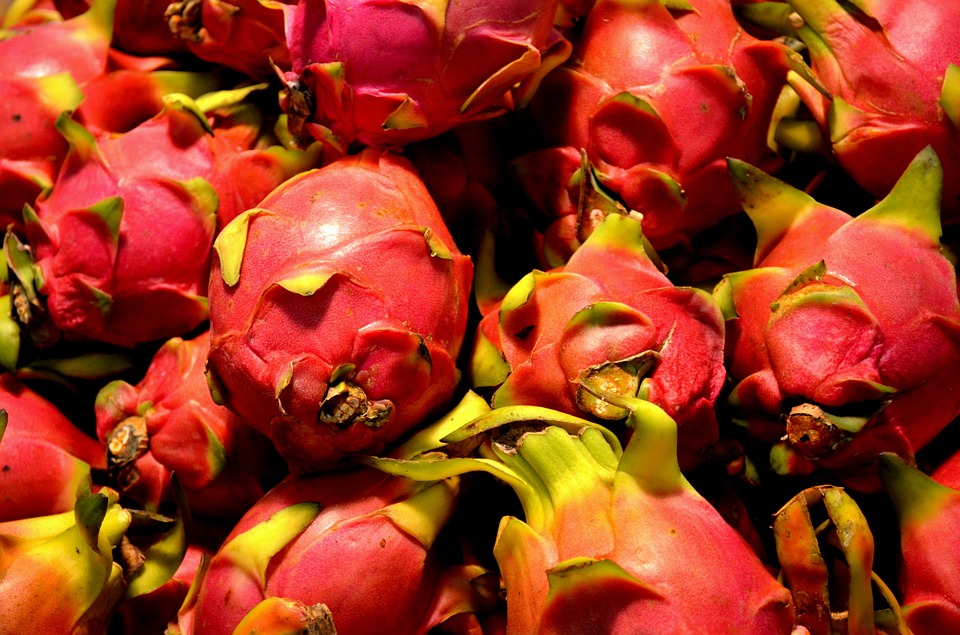 Red "fire", prickly "dragon", delicious "fruit" - iNEWS
