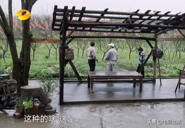 "The Longing for Life" has become "shabby", the guest is out of shape ...