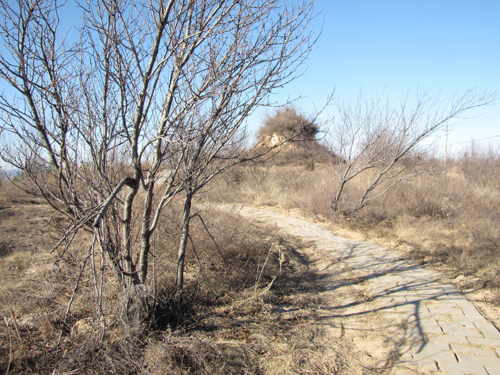 Tongwan City that will never fall?Helian was so daring to his death ...