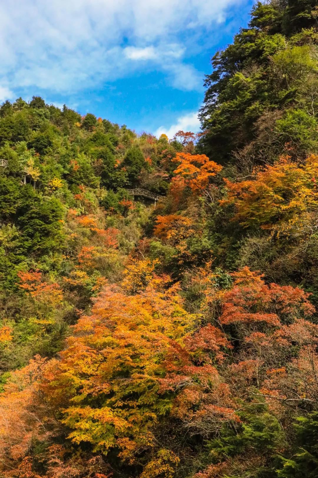 Tell others to squeeze!Bashan Grand Canyon, these 3 must-see places are ...