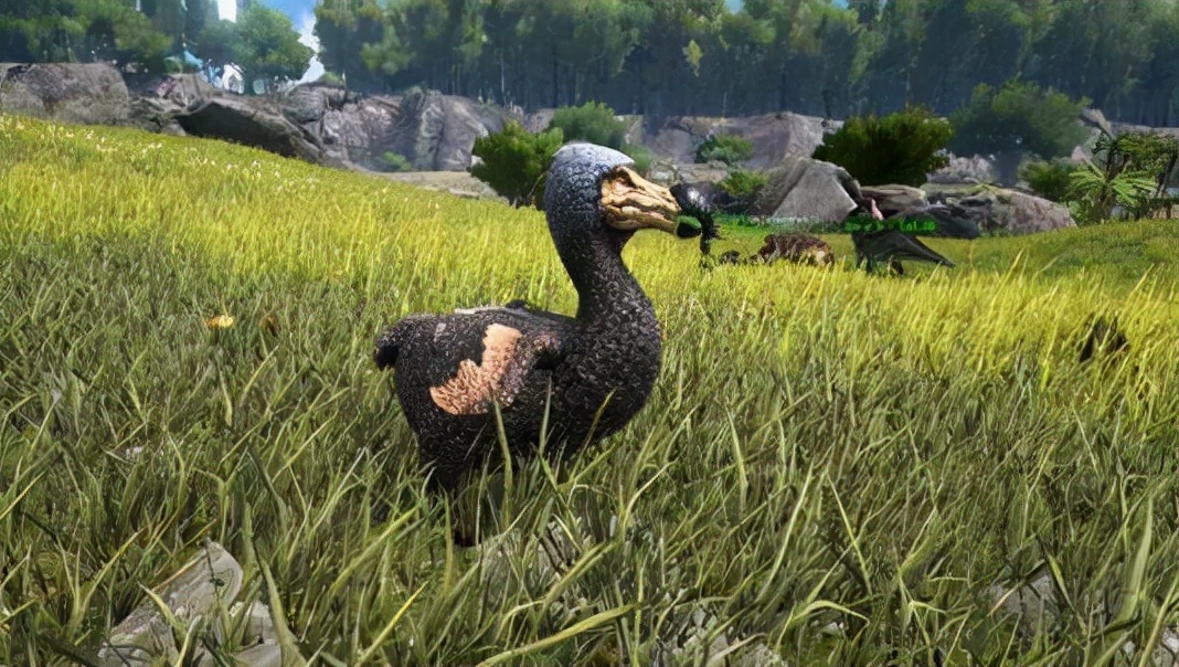 "Ark Survival and Evolved" Buddha players build a Dodo Empire, no need ...