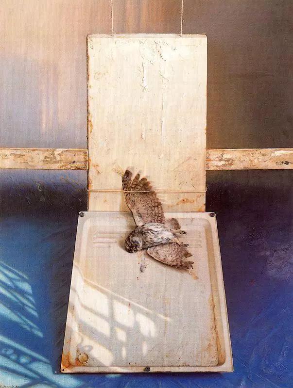 Alternative beauty: Selections of Spanish surrealist master Edward ...