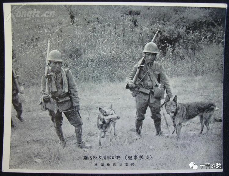 Sinful Japanese invaders - iNEWS