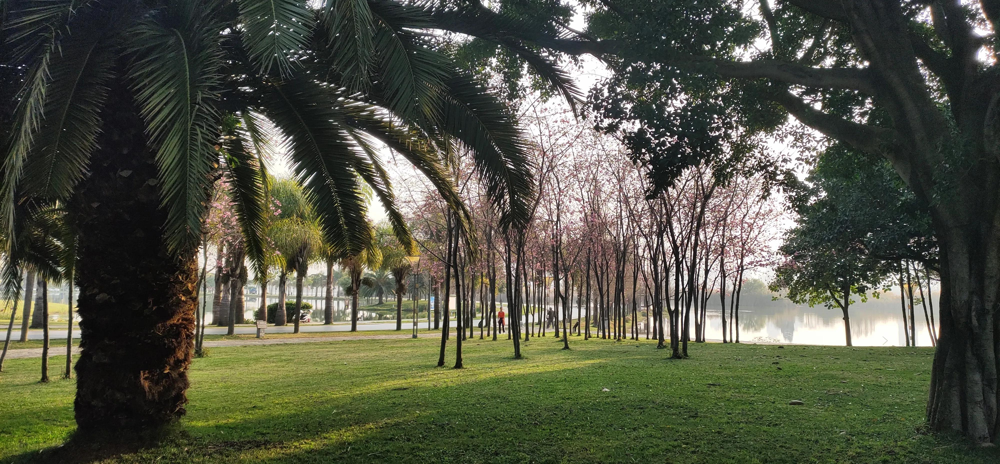 I chose to have the future of Yunnan Maitrey, what is the future ...