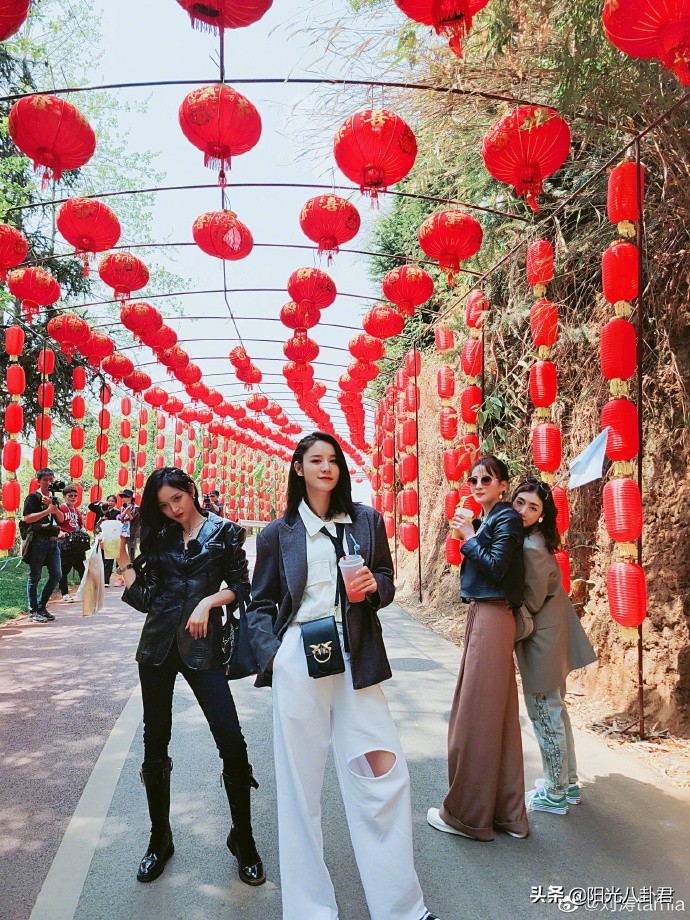 "Wife 5" exclusive group photo, 42-year-old Liu Tao and Qin Hailu, look ...