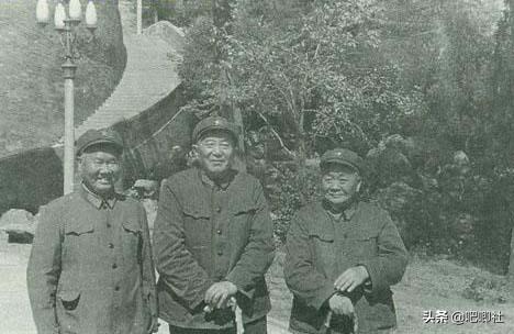 This admiral retreated to the second line and was a little unwilling ...