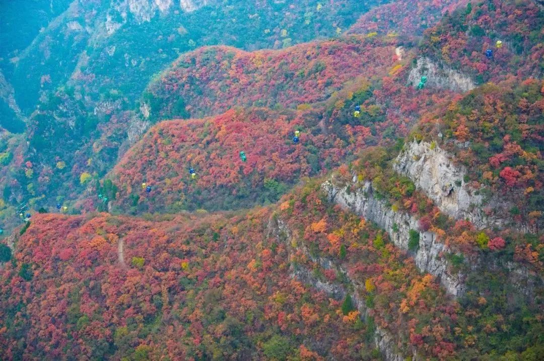 China's four major red leaf bases-Qingtian River in Jiaozuo, the best ...