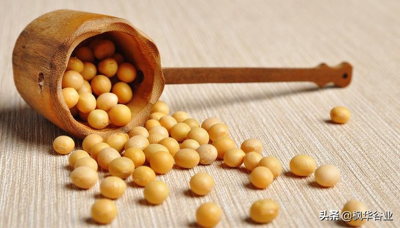 Introduction to the edible value and nutritional content of soybeans ...