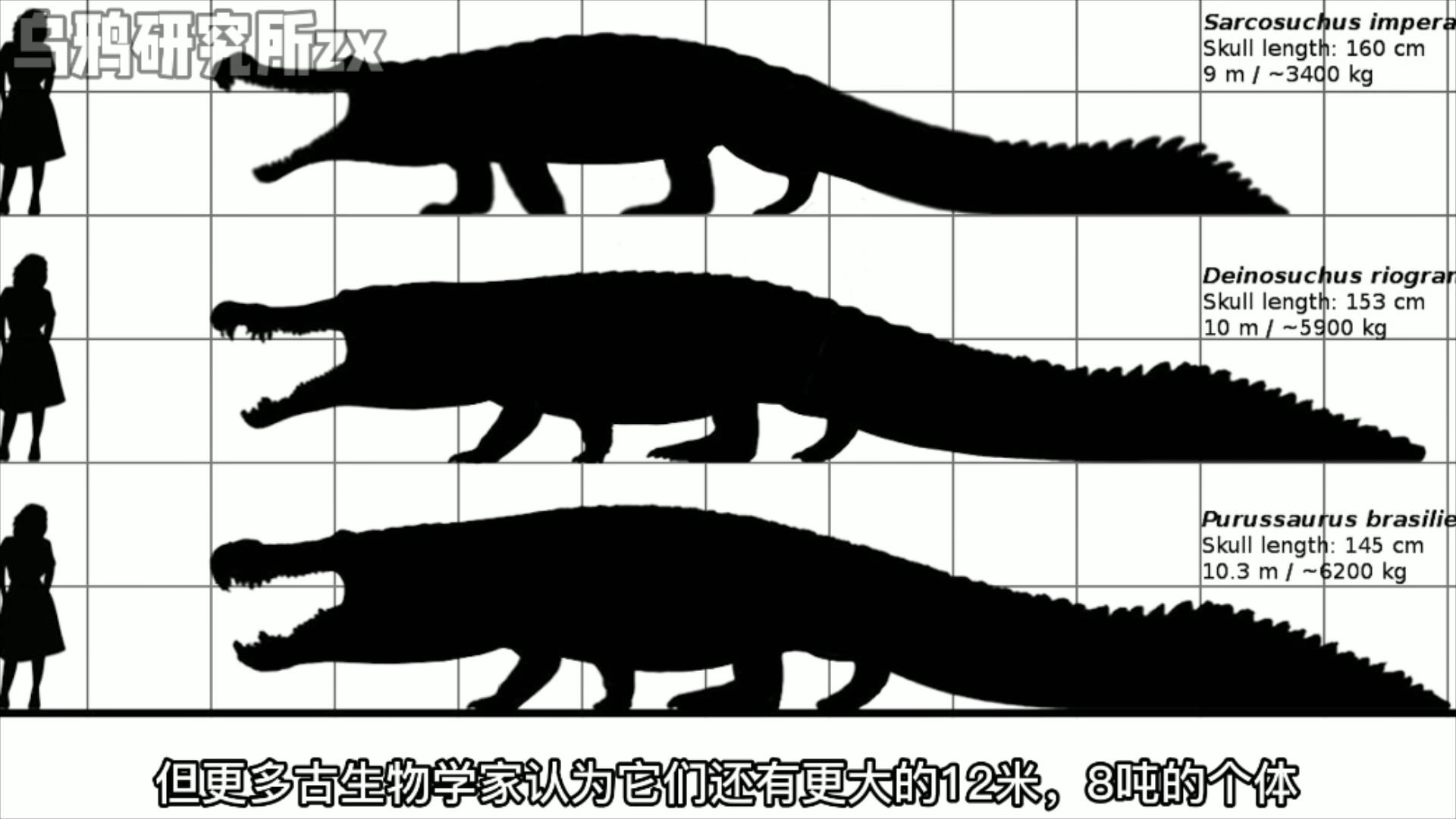 Three giant prehistoric crocodile, who is the king of crocodile - iNEWS