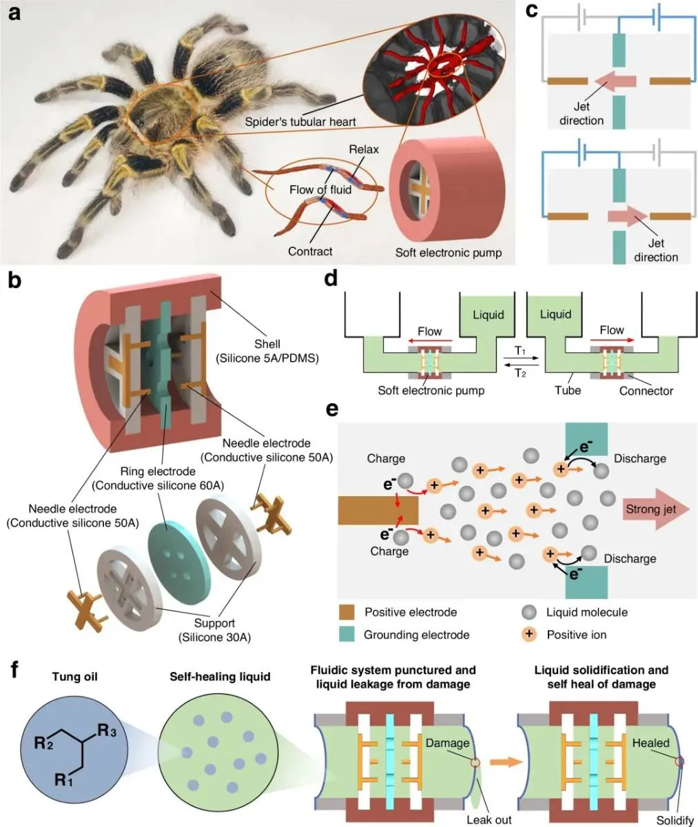 Zhejiang University develops the world's first self-healing "machine ...
