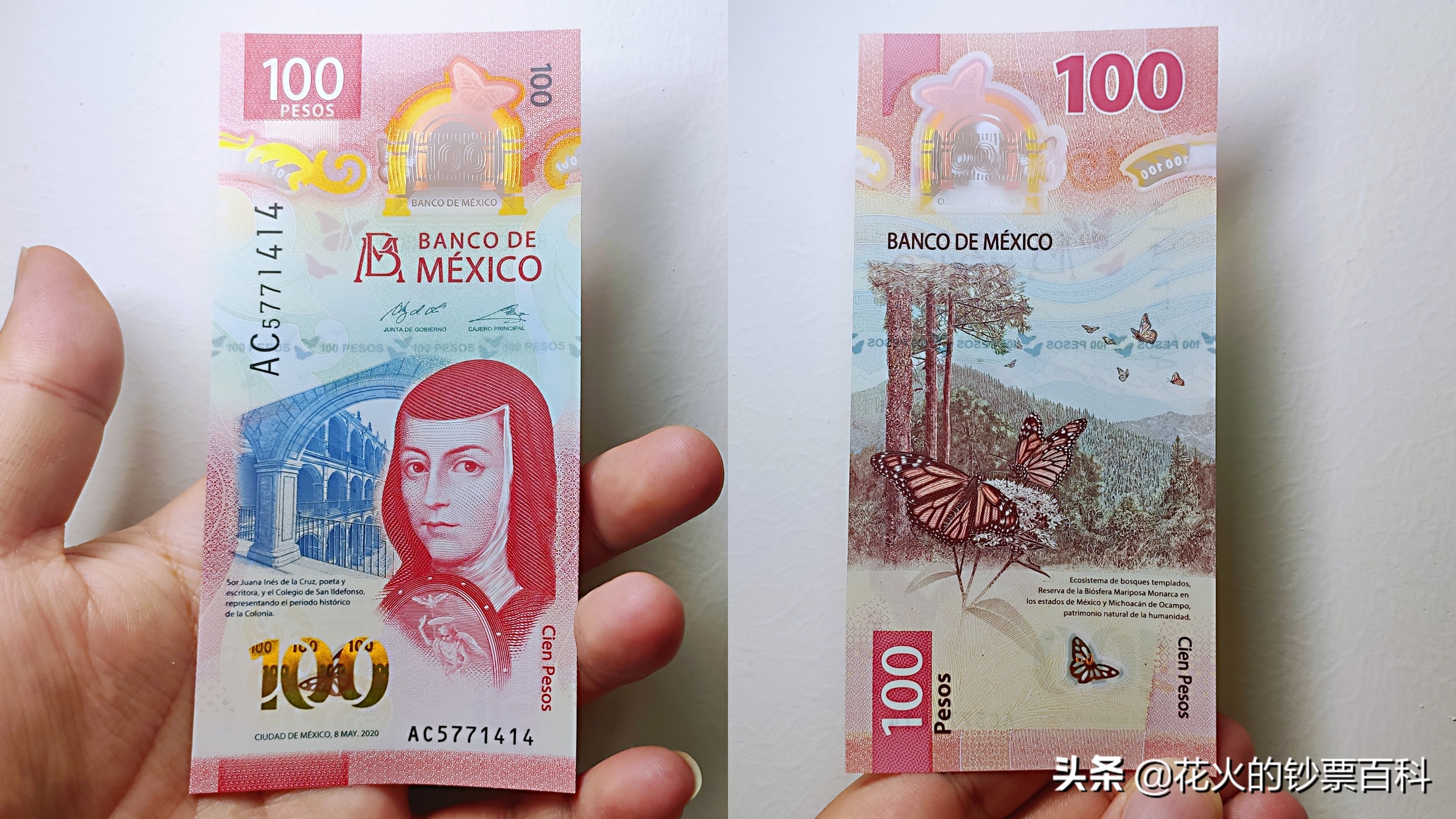 Counting the world's best banknotes in 2004, have you ever seen the 17 ...