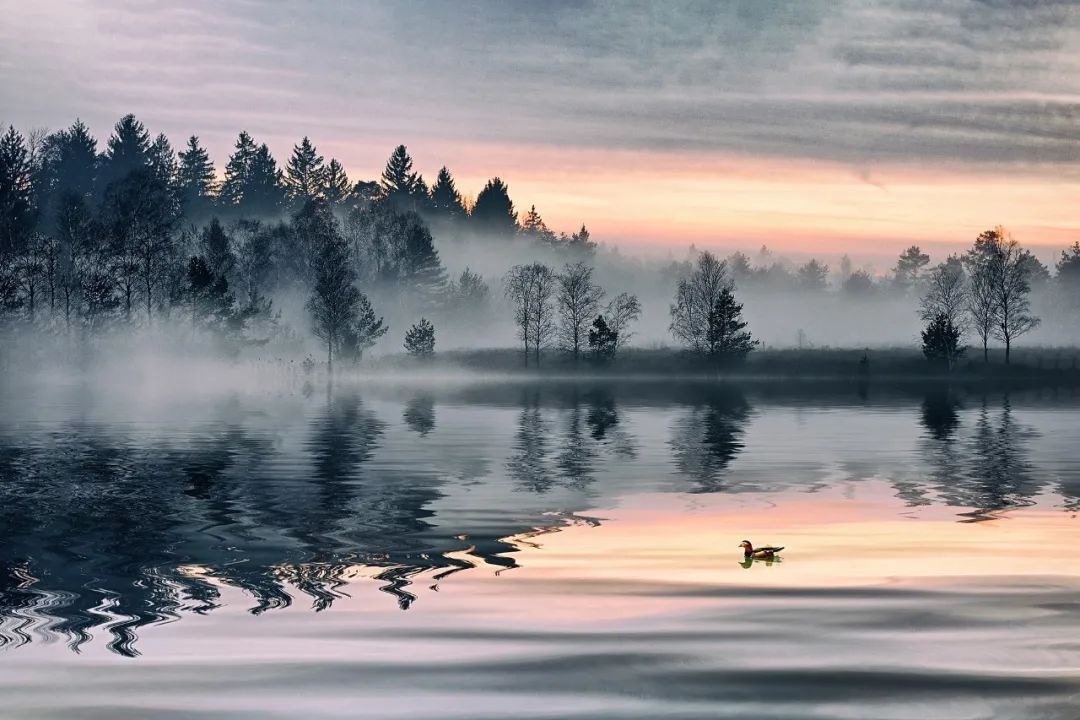 The 10 most classic poems of Lu You are patriotic and tender. Every ...