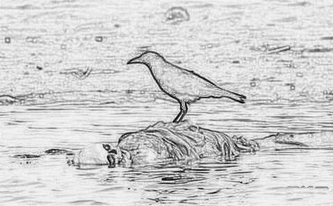 Have you seen a water burial? - iNEWS