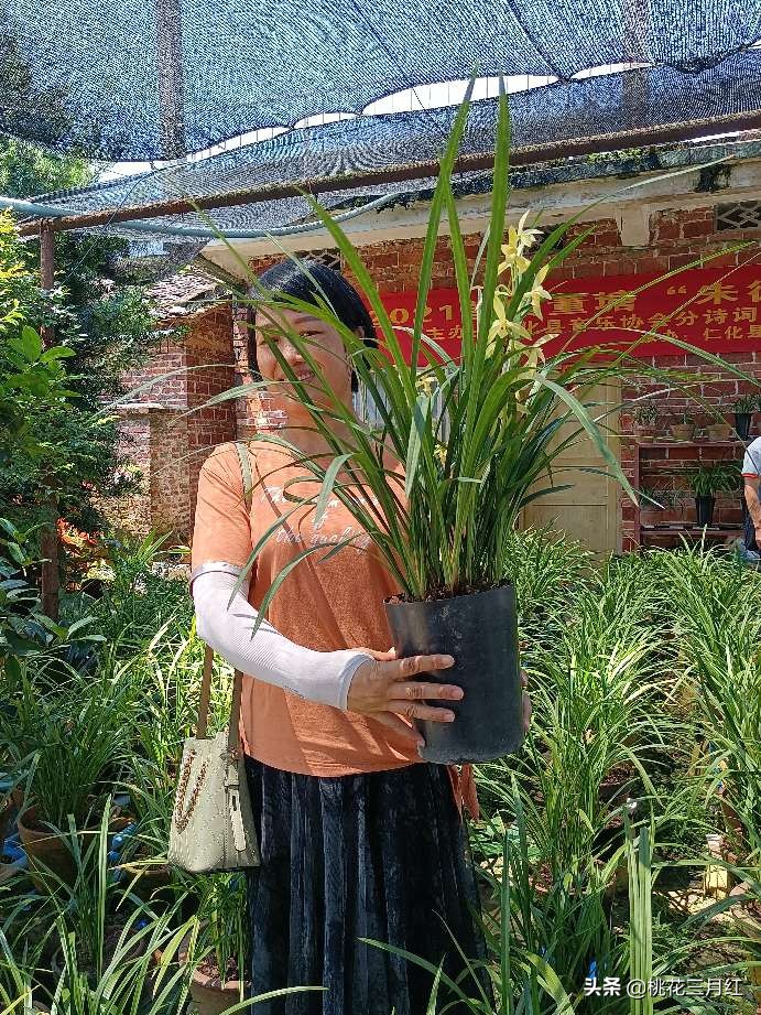 Wen Shao through the ages, Su Xin Yi Lan - iNEWS