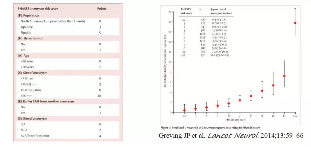 How to evaluate the stability of intracranial aneurysms? - iNEWS