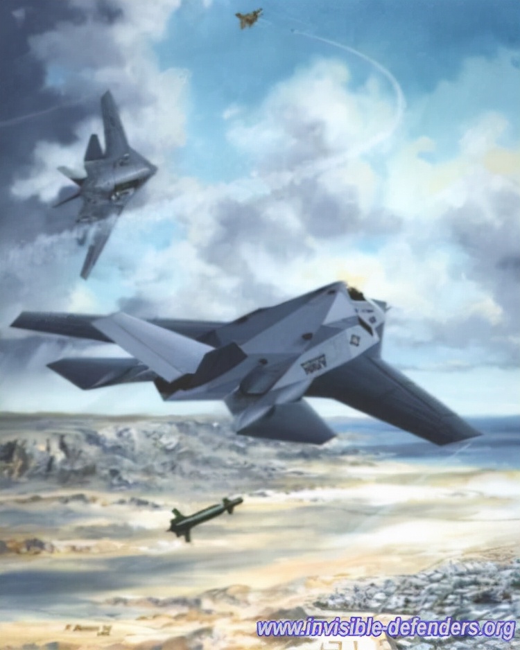 The stealth carrier-based aircraft of the US Navy—F-117N "Sea Hawk" - iNEWS