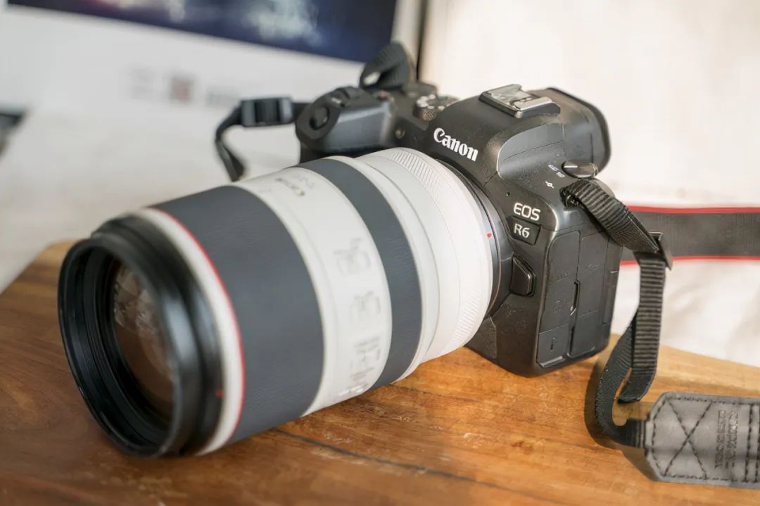 EOS R6 is the best when shooting cats and feelings right - iNEWS