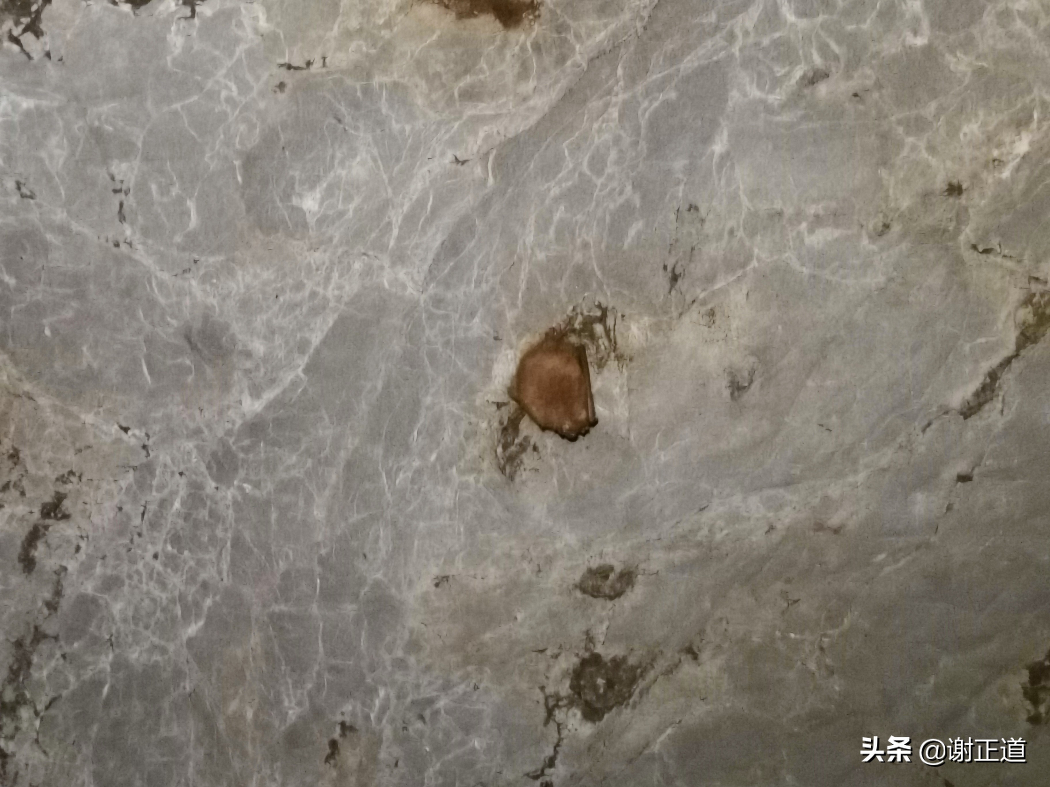 One of the ancient villages of Jingxing-Bodhisattva Cliff, the tiger ...