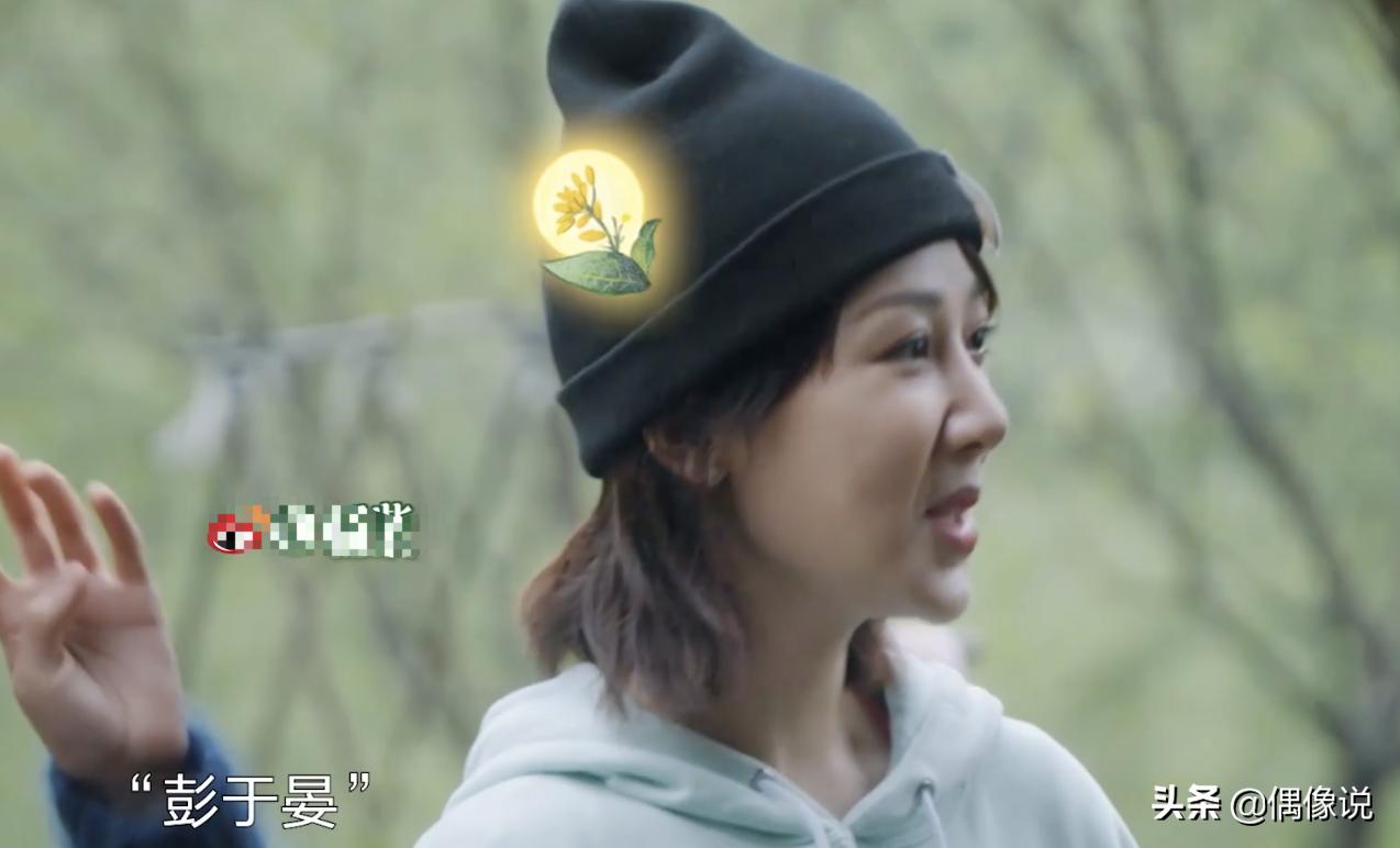 Yang Zi heard Peng Yuchang being called Peng Yuyan, her expression was ...