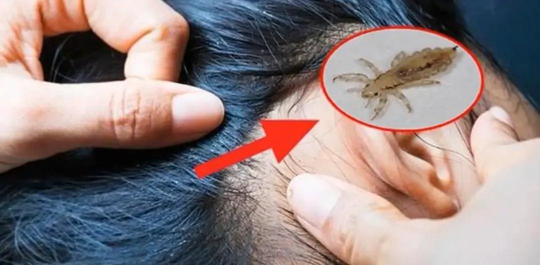The creatures that have been with mankind for the longest time can be ...