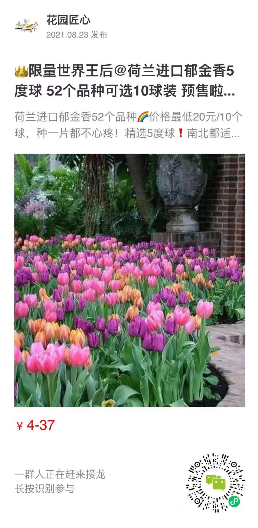 Tulip Garden Application - iNEWS