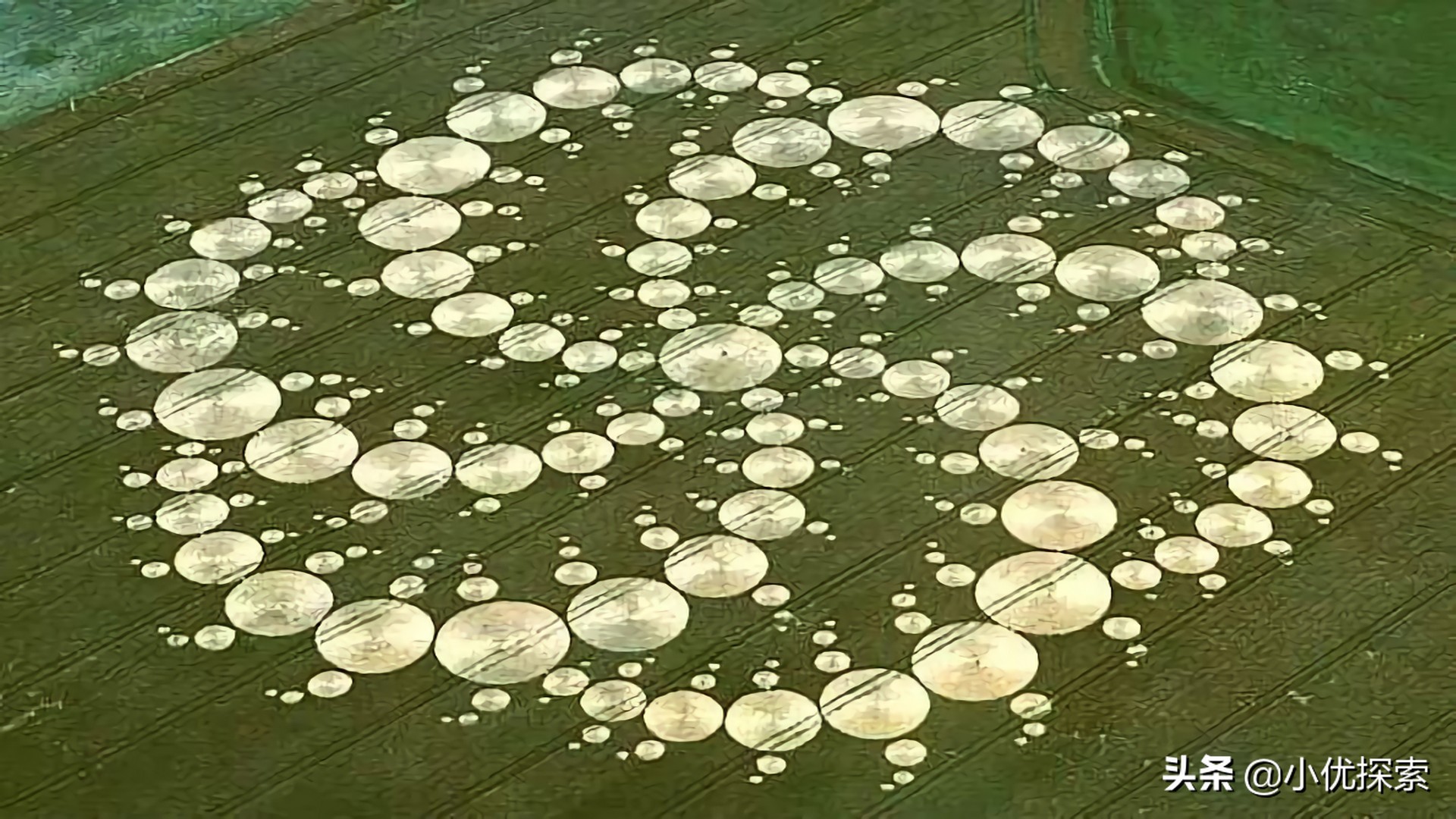 The unsolved mystery of the crop circle, the bizarre pattern, is a mark ...