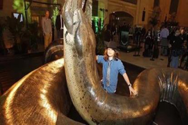Ten legendary giant snakes: Wanabi snake that swallows dinosaurs is ...