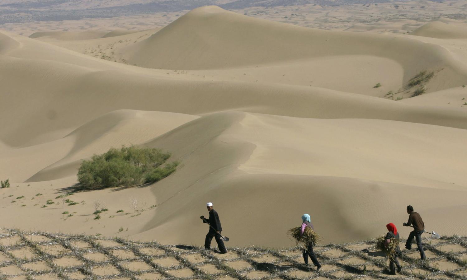 The Mu Us Desert is about to disappear. Why will the Taklimakan Desert ...