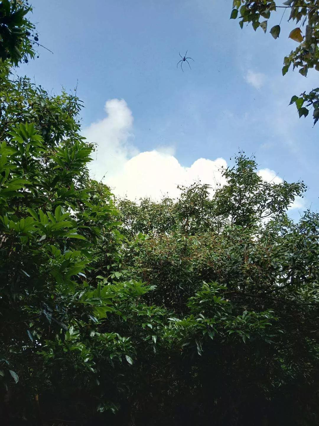 Taiwan Travel Notes No. 32: Yuanlin Tengshan Trail - iNEWS