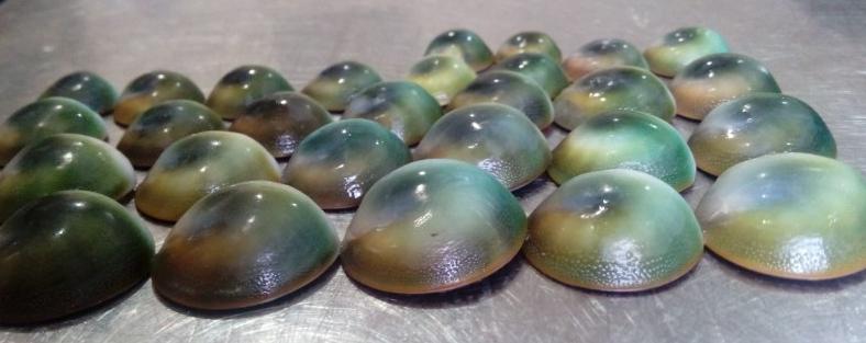 What are the magic "shells"? - iNEWS