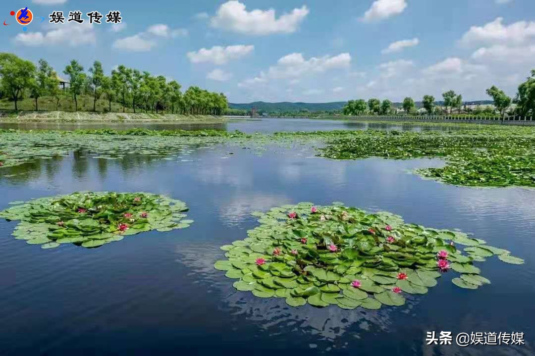 Wang Peng: Ten Mile Lotus Pond Waiting for Kings to Come - iNEWS
