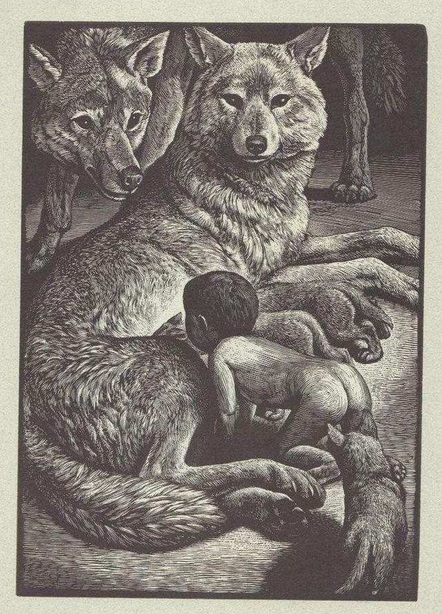 Why do wild wolves raise human babies and let them become wolf children ...