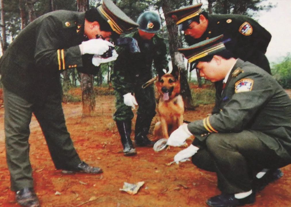 After 29 years of bizarre disappearance, Chen Biao, the hero of solar physics, is still missing ...