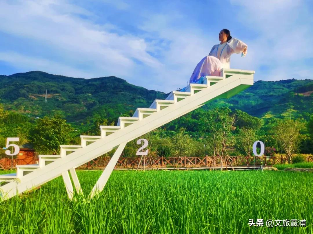 Summer in Yutan Sakura Valley is rice fields, breeze and you - iNEWS