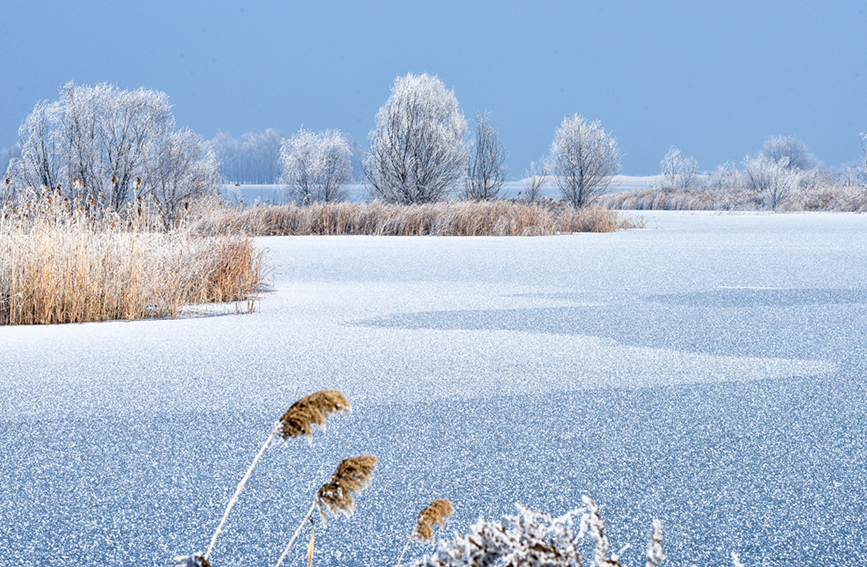 Changzhi Zhangze Lake National Wetland Park's high-quality "city living room" - iNEWS