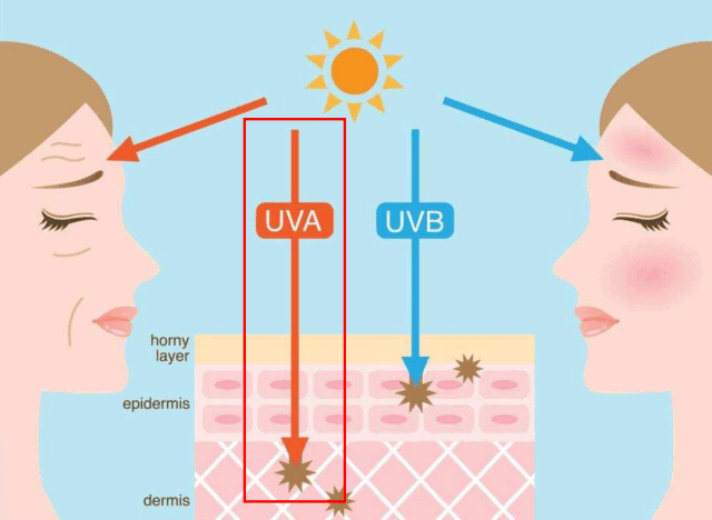 Why do some people "tan when they get tanned", but why do some people ...